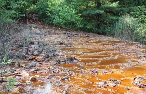 Cerattepe - Sur - Kanal İstanbul: Bu Gidişat Nereye?