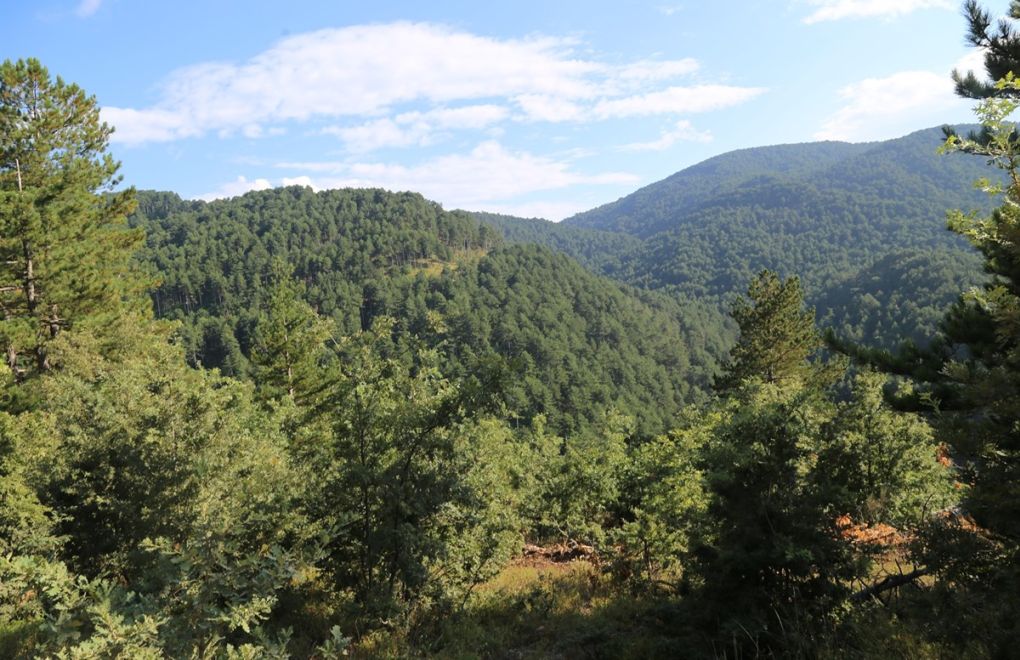 Expert report disapproves copper mine project in Turkey's Mount Ida