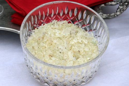 Defne Atakan-Beşer: Her bahçede sakız ağacı olmalı